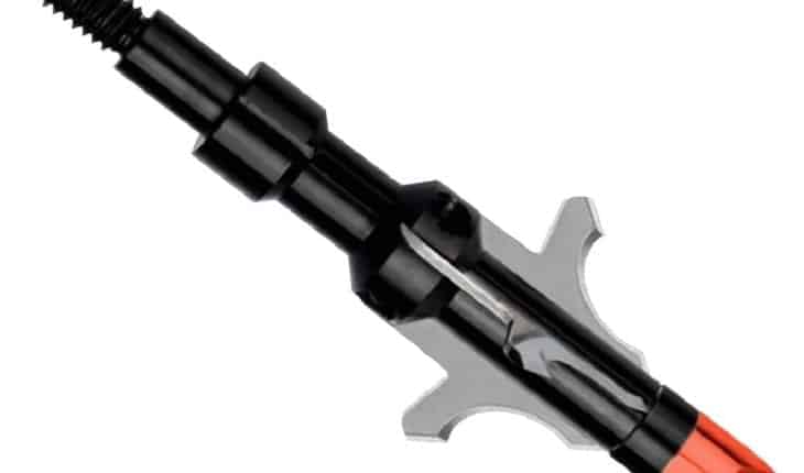 The Best Mechanical and Expandable Broadhead Review